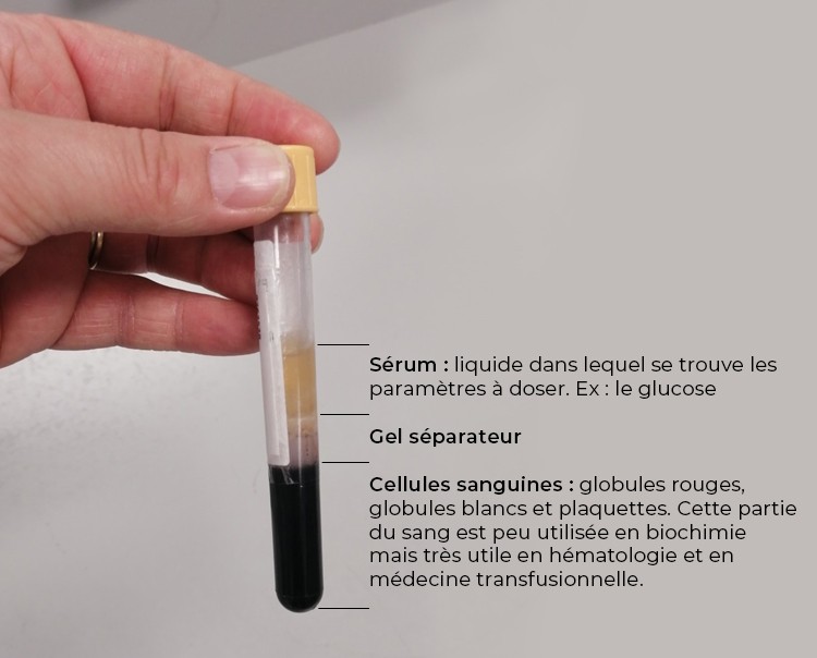 Échantillon de la profession - Analyses biomédicales - Une histoire de ...